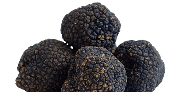 Truffle In Jar | Ambient | Arab United Food | Premium Food Importers ...