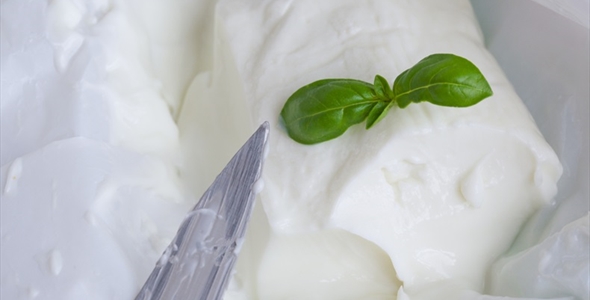 Fresh Soft Cheese | Dairy & Fresh | Arab United Food | Premium Food ...